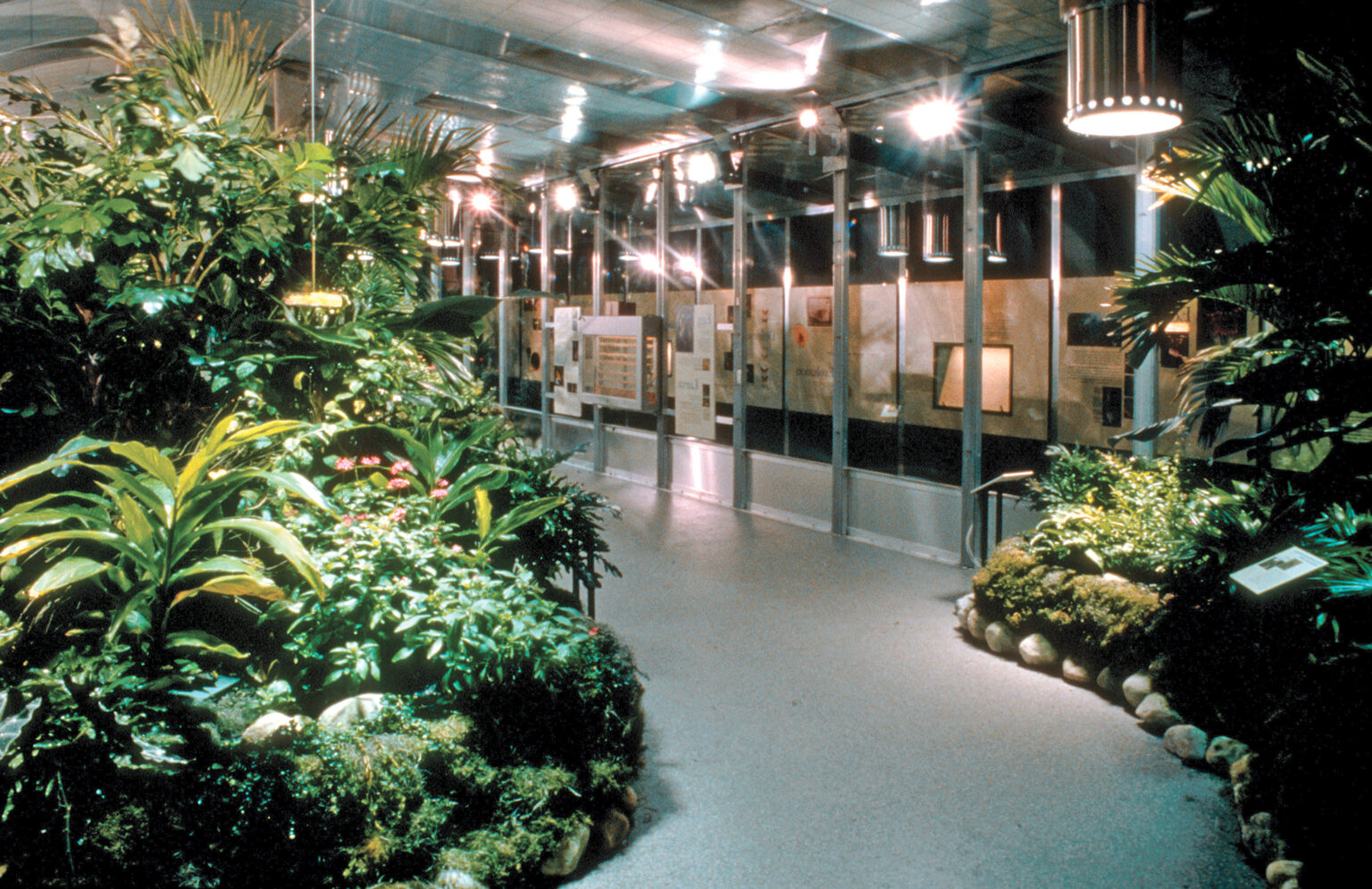 American Museum of Natural History Hall of Human Origins - Perkins Eastman