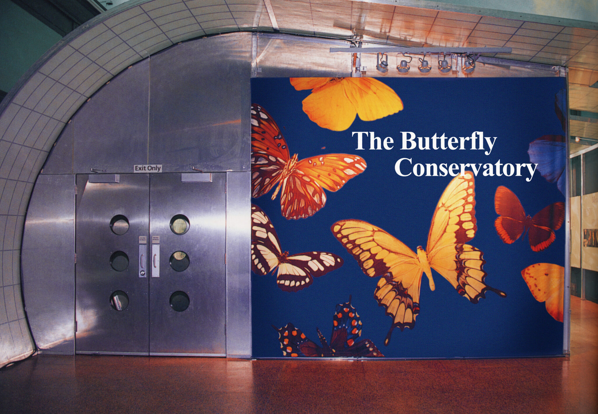 American Museum of Natural History Hall of Human Origins - Perkins Eastman