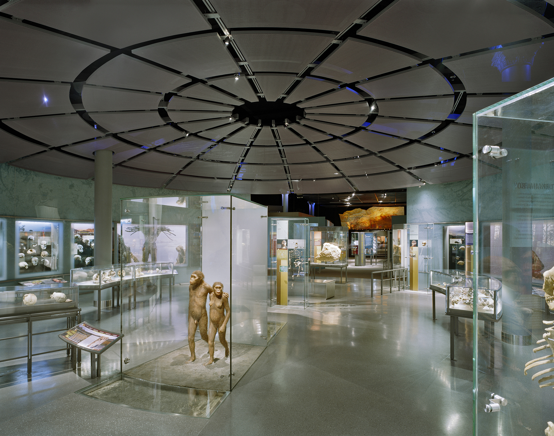 American Museum of Natural History Hall of Human Origins - Perkins Eastman