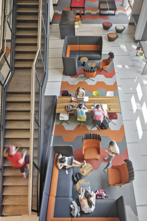 University of Maryland: Terrapin Row - Perkins Eastman