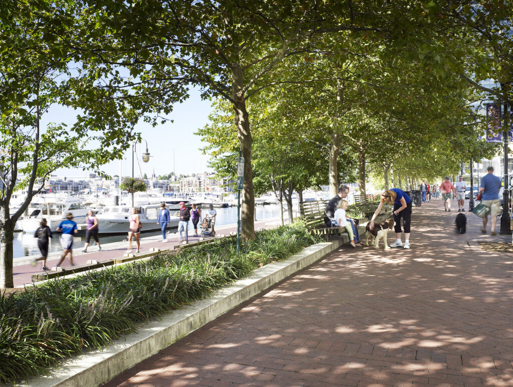 Baltimore Inner Harbor East - Perkins Eastman